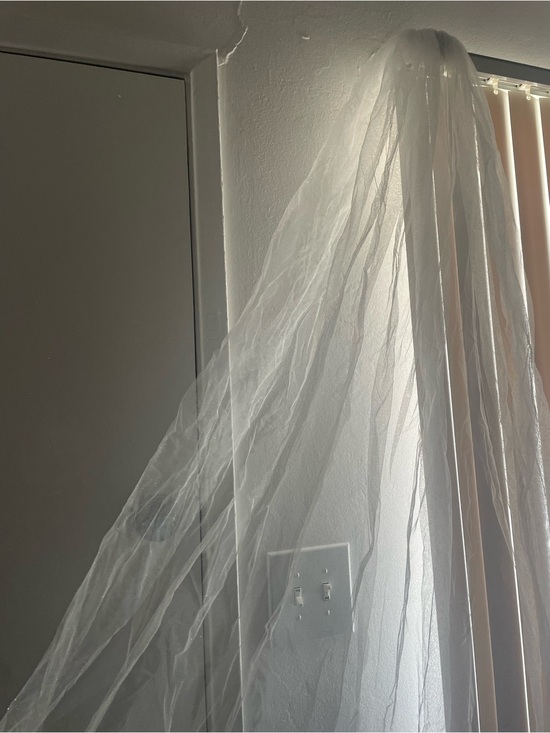 Other | Sheer White Sparkly Tulle Veil | Poshmark